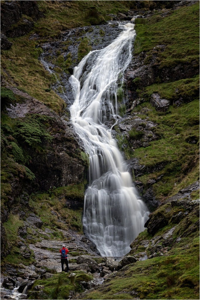 Moss Force – fotospot