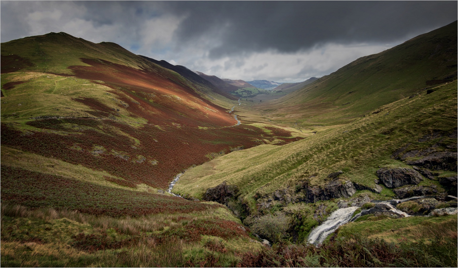 Moss Force – fotospot