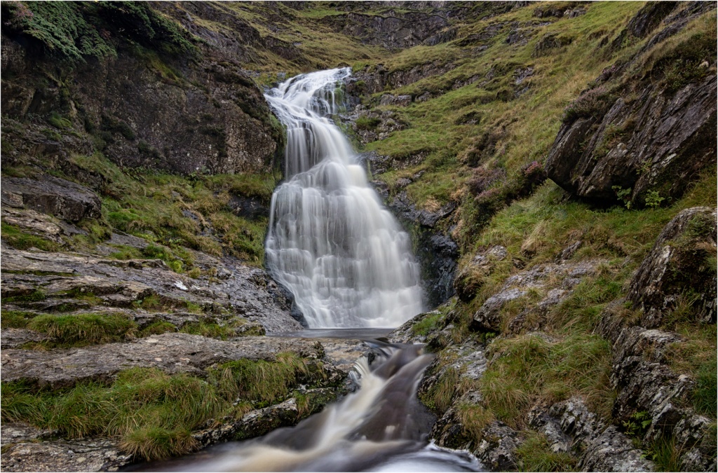 Moss Force – fotospot